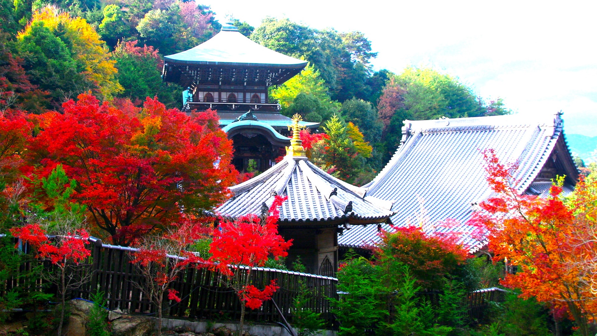 Daisho-in-2-min | Nippon Touch