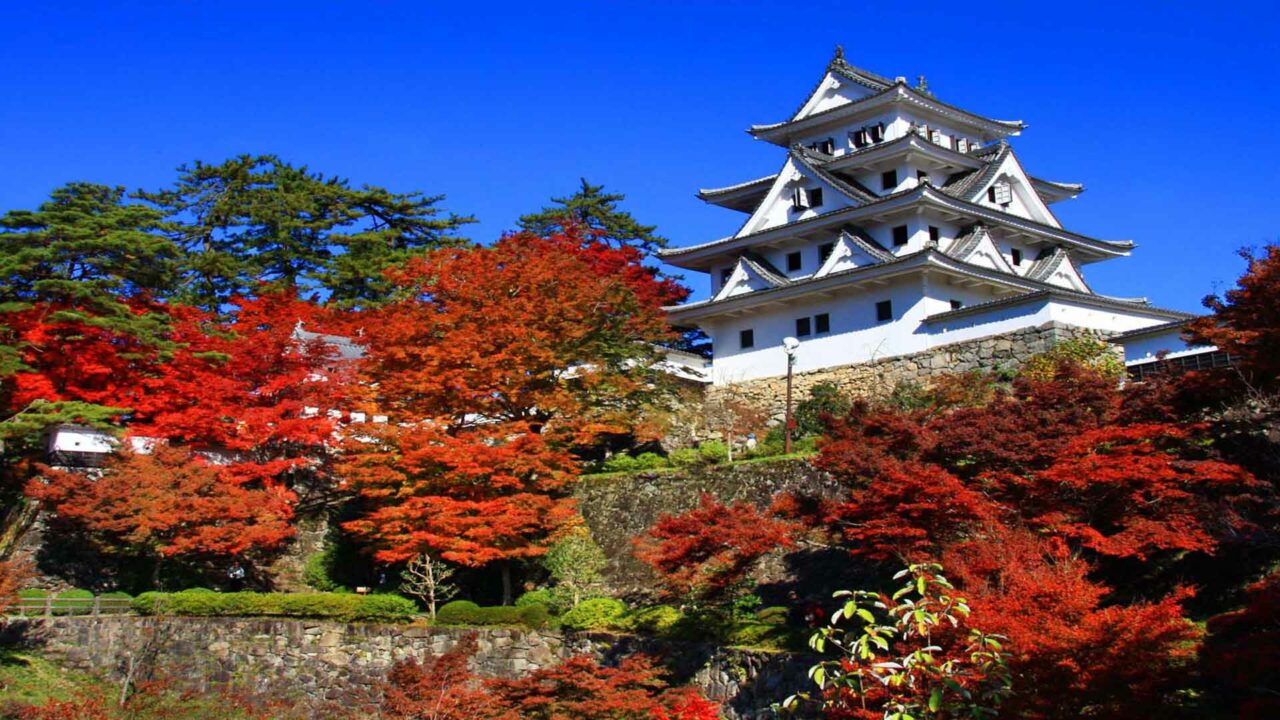 Gujo Hachiman | Nippon Touch