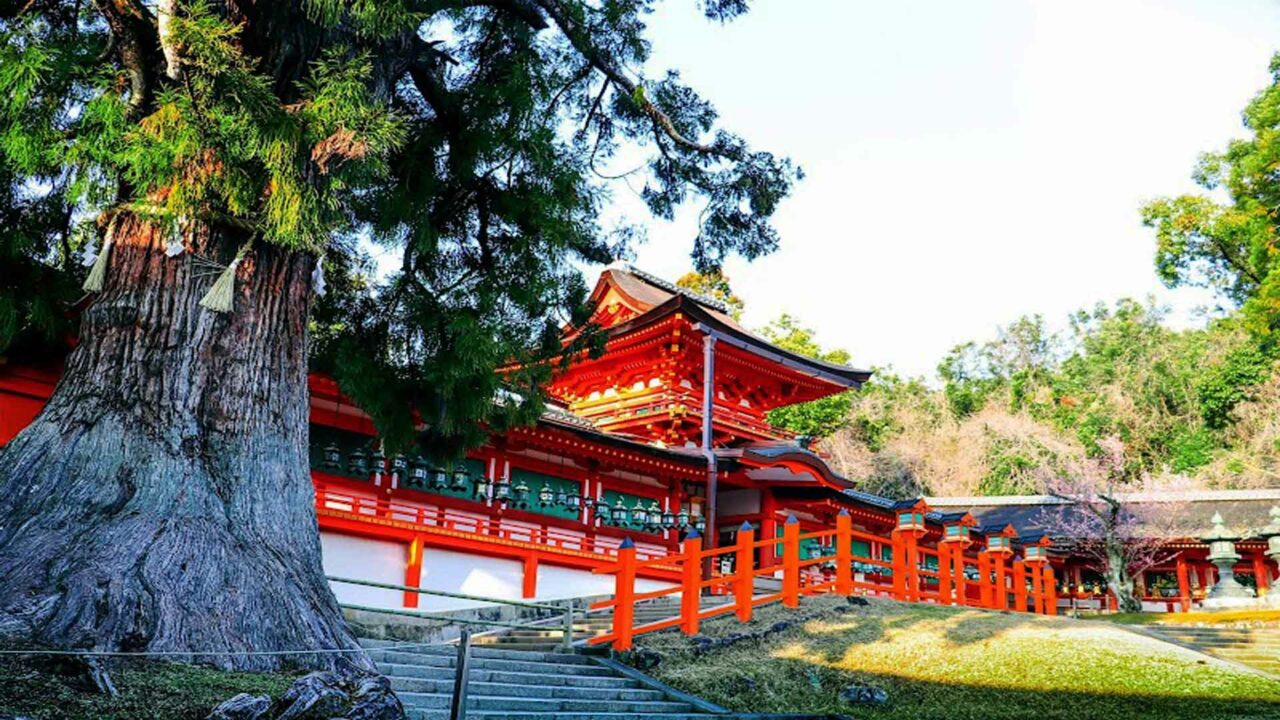 Kasuga Taisha | Nippon Touch