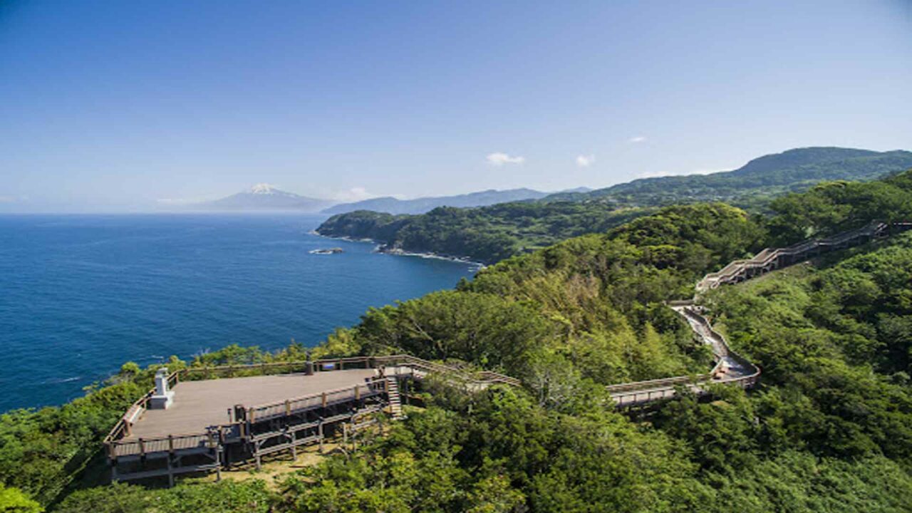 Izu Hanto | Nippon Touch