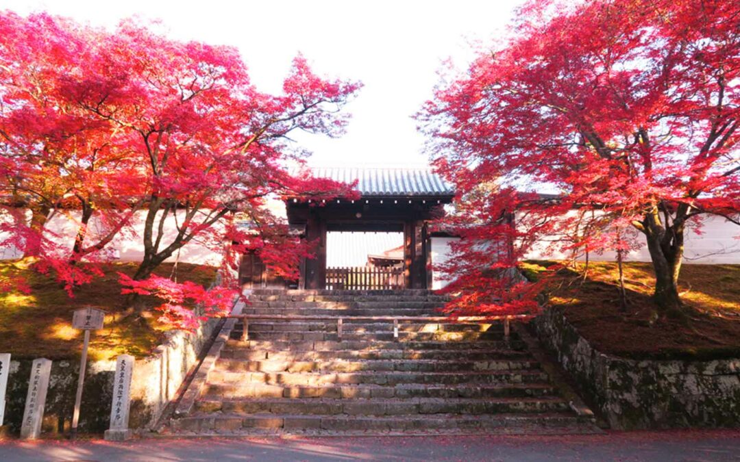 temple | Nippon Touch