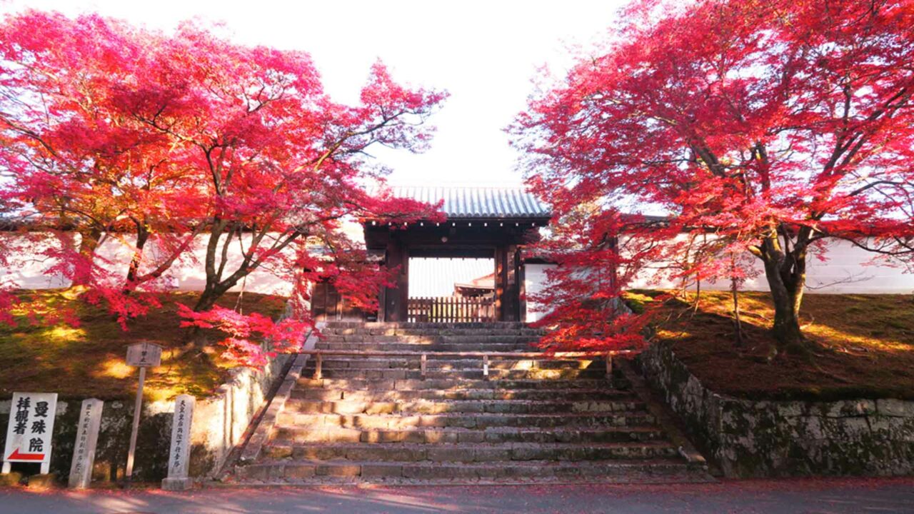 Kyoto | Nippon Touch