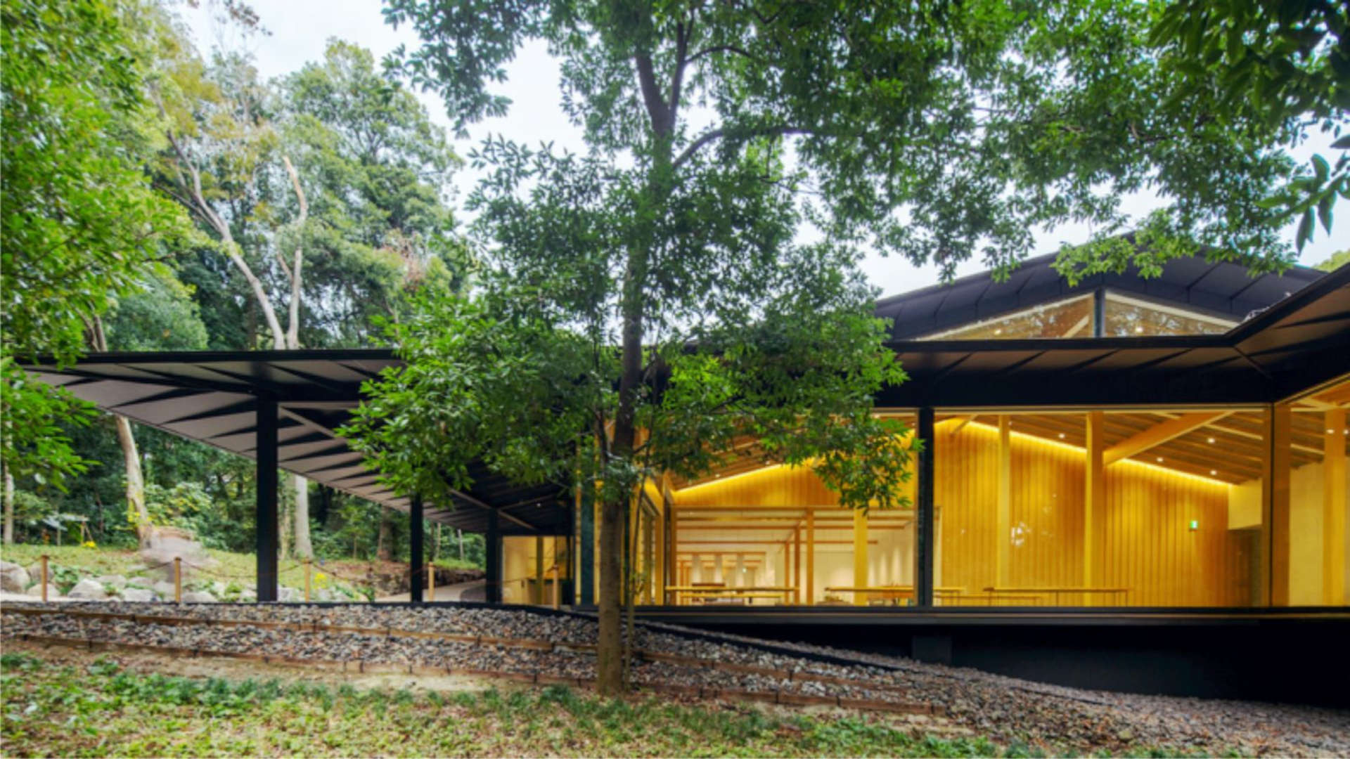New-Meiji-Jingu-Museum-Kuma-Kengo | Nippon Touch