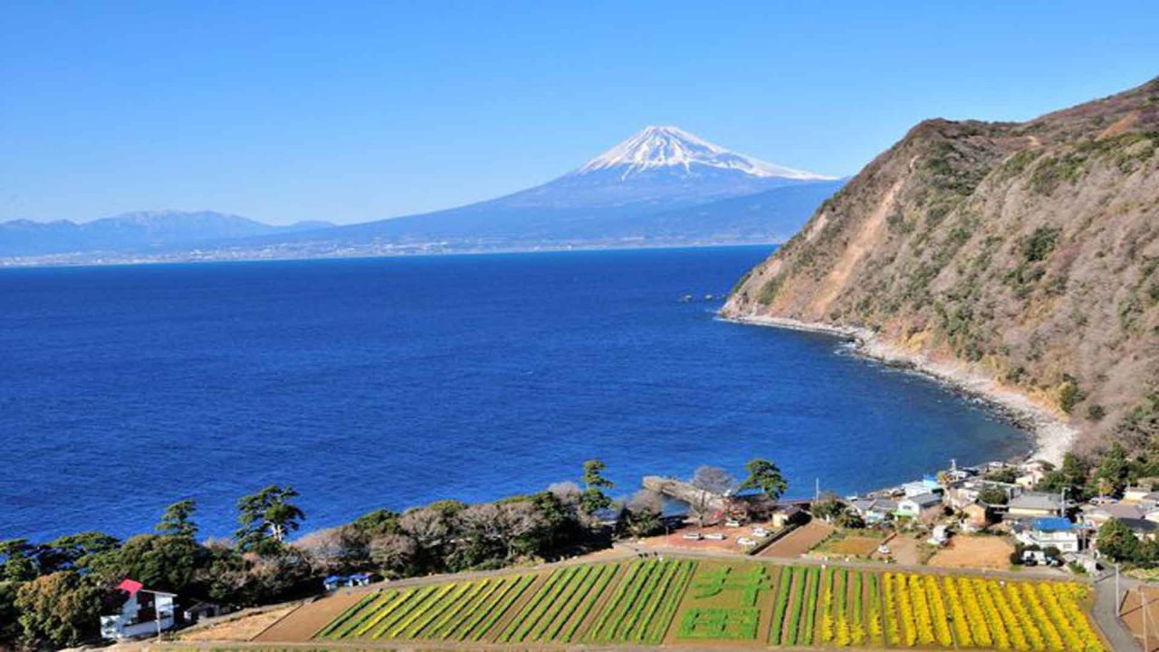 Izu Hanto | Nippon Touch