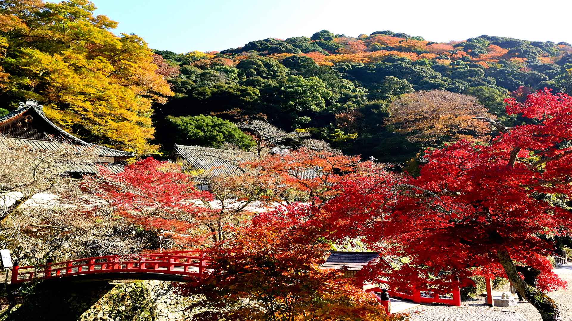 Ryuanji-Temple | Nippon Touch