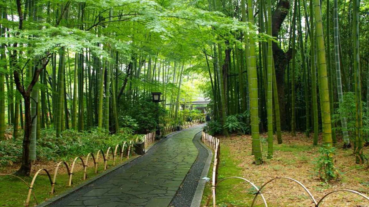 Izu Hanto | Nippon Touch