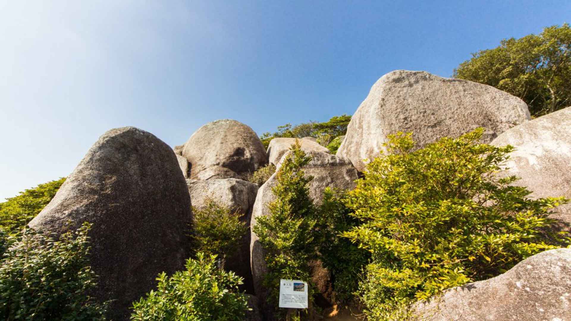 Tojin-Daba | Nippon Touch